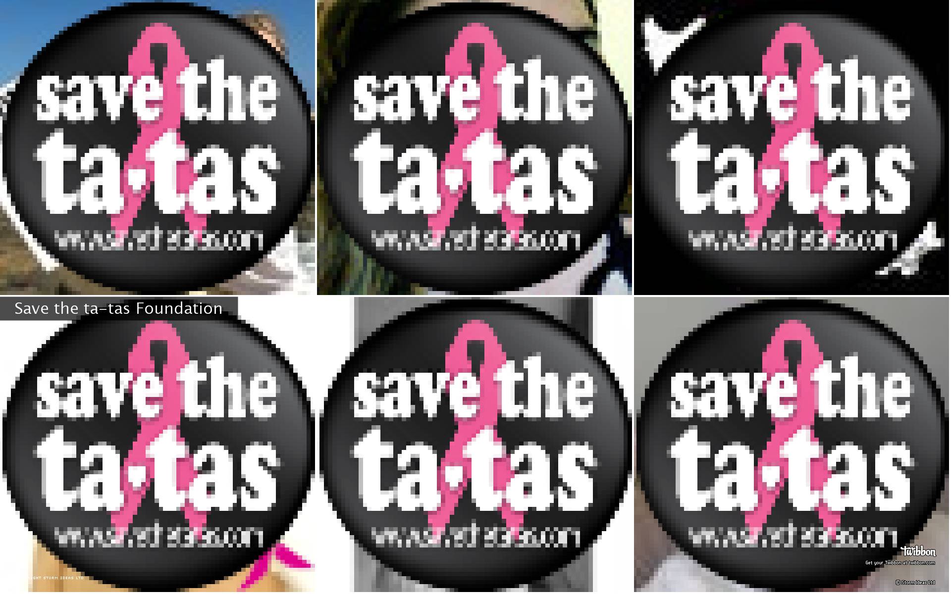 Save The Ta Tas Foundation Resources Save The Ta Tas Foundation Twibute 100 