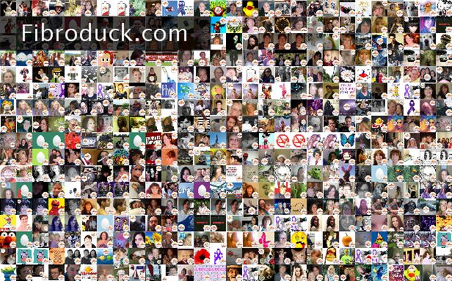 Fibroduck.com - Campaign Resources | Twibbon