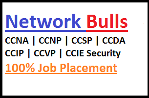 Network Bulls - Support Campaign | Twibbon