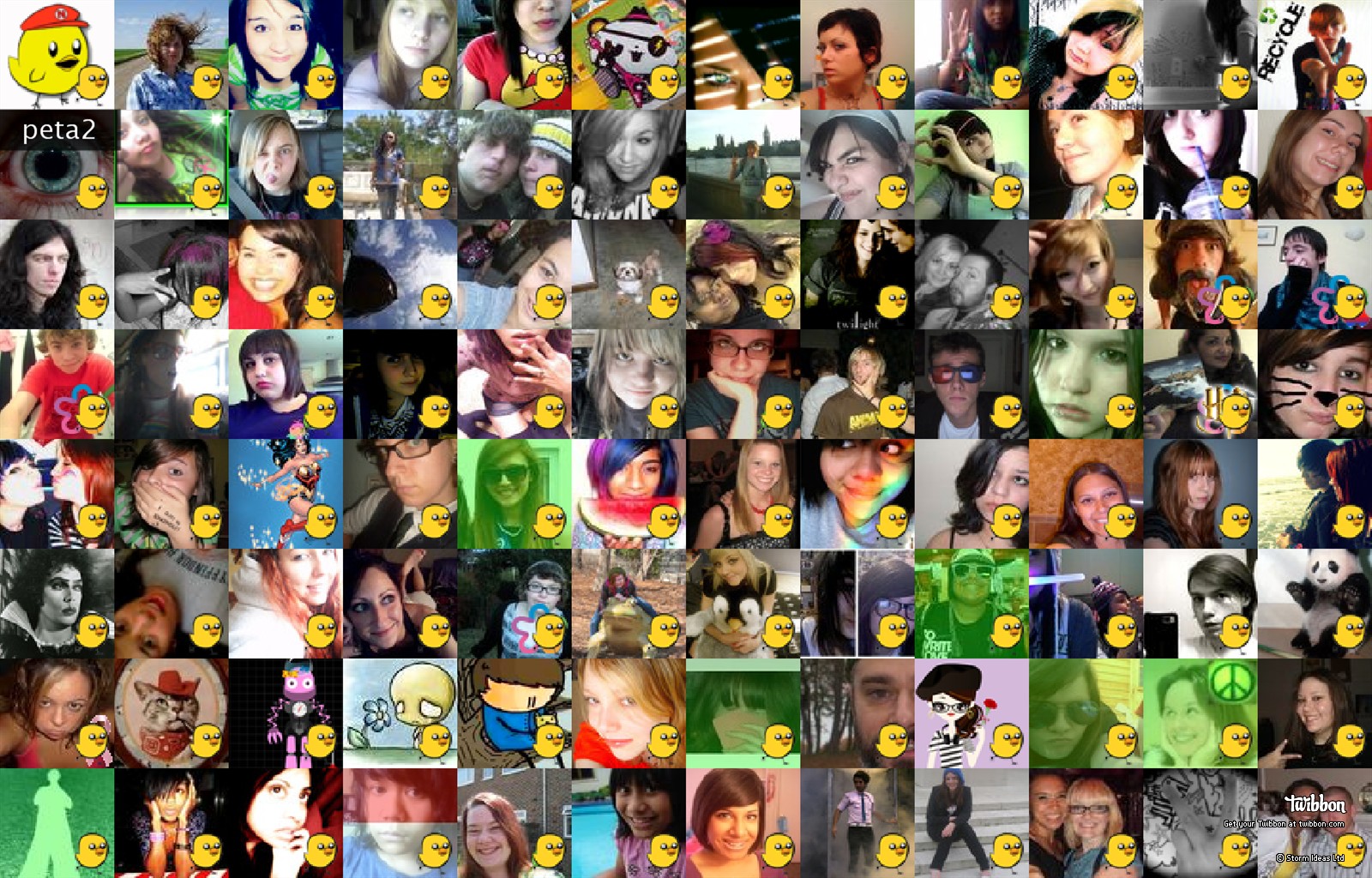 peta2 - Resources - peta2 Twibute 100