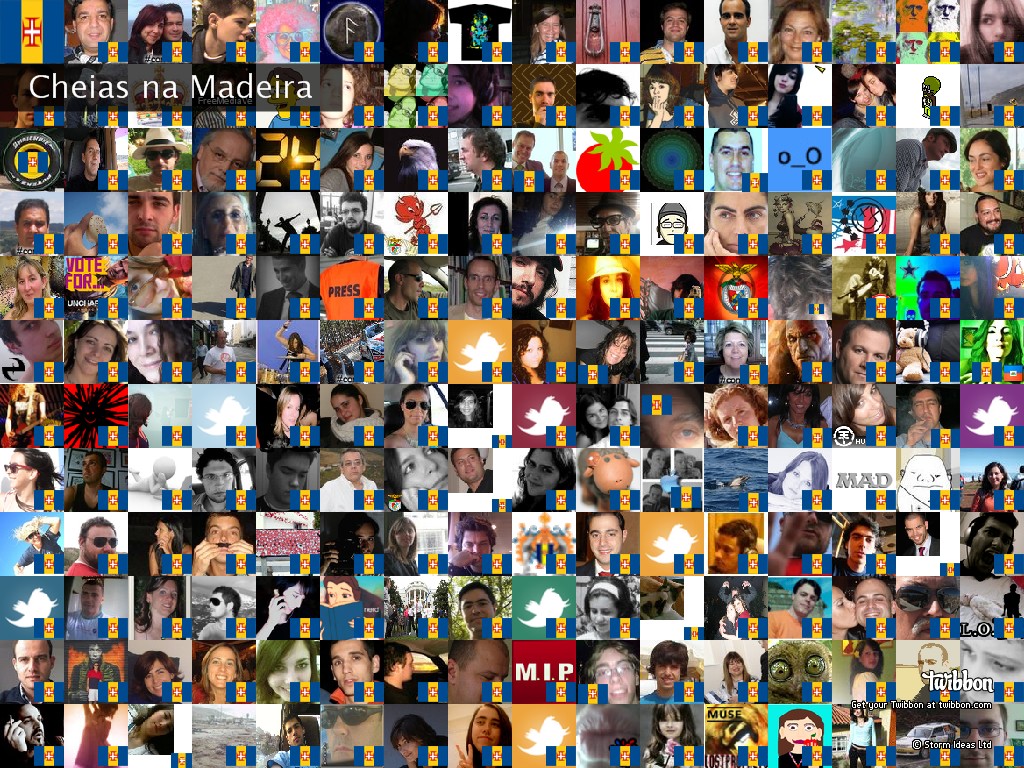 Cheias na Madeira - Resources - Cheias na Madeira Twibute 250